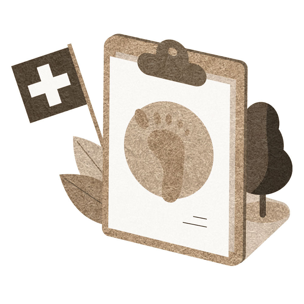 WhyNote, the notebook infinitely reusable! – WhyNote.co